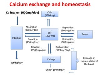 Lecture 2, calcium and chlorine.pptx