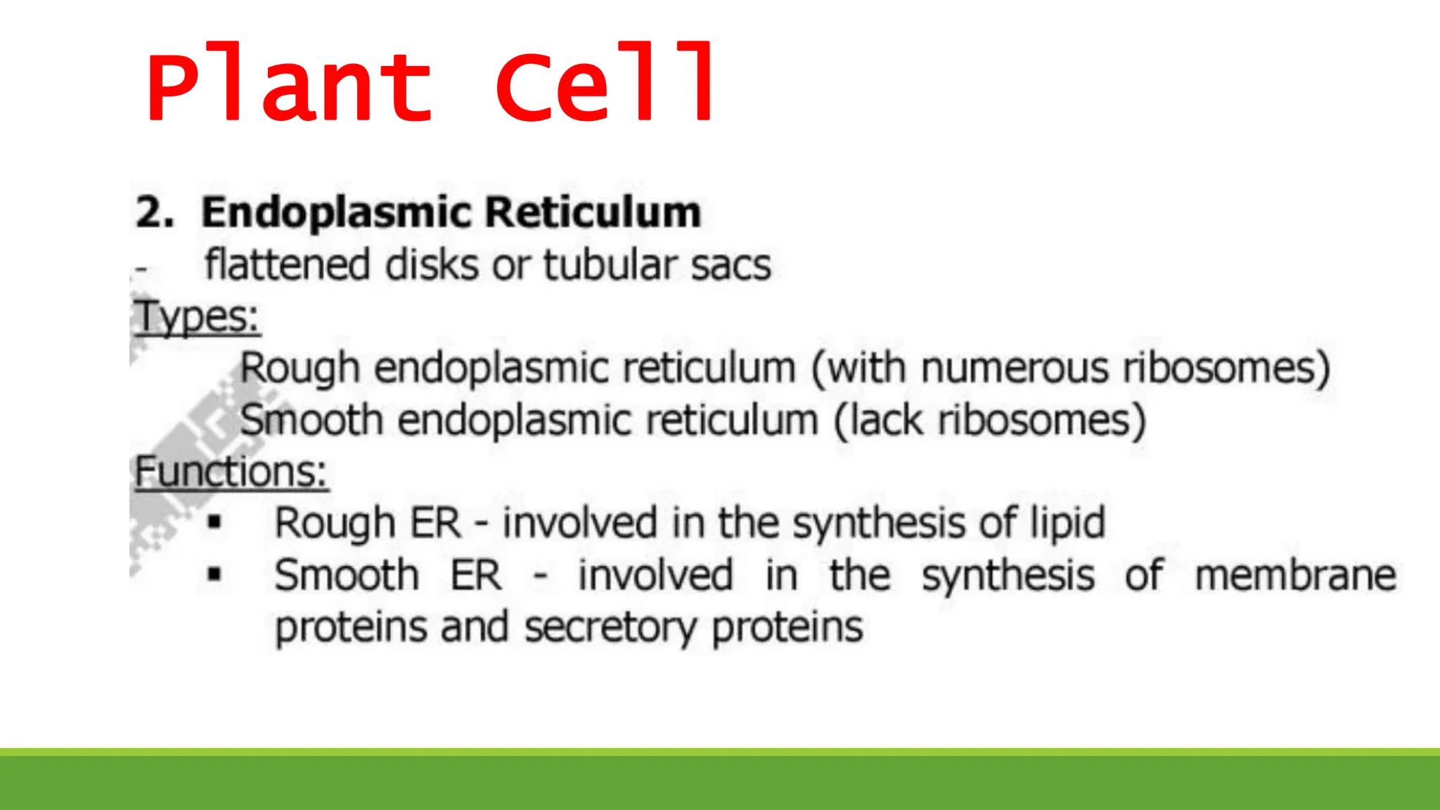 LECTURE 2 CELL AND ANATOMICAL ORGANS OF.pptx