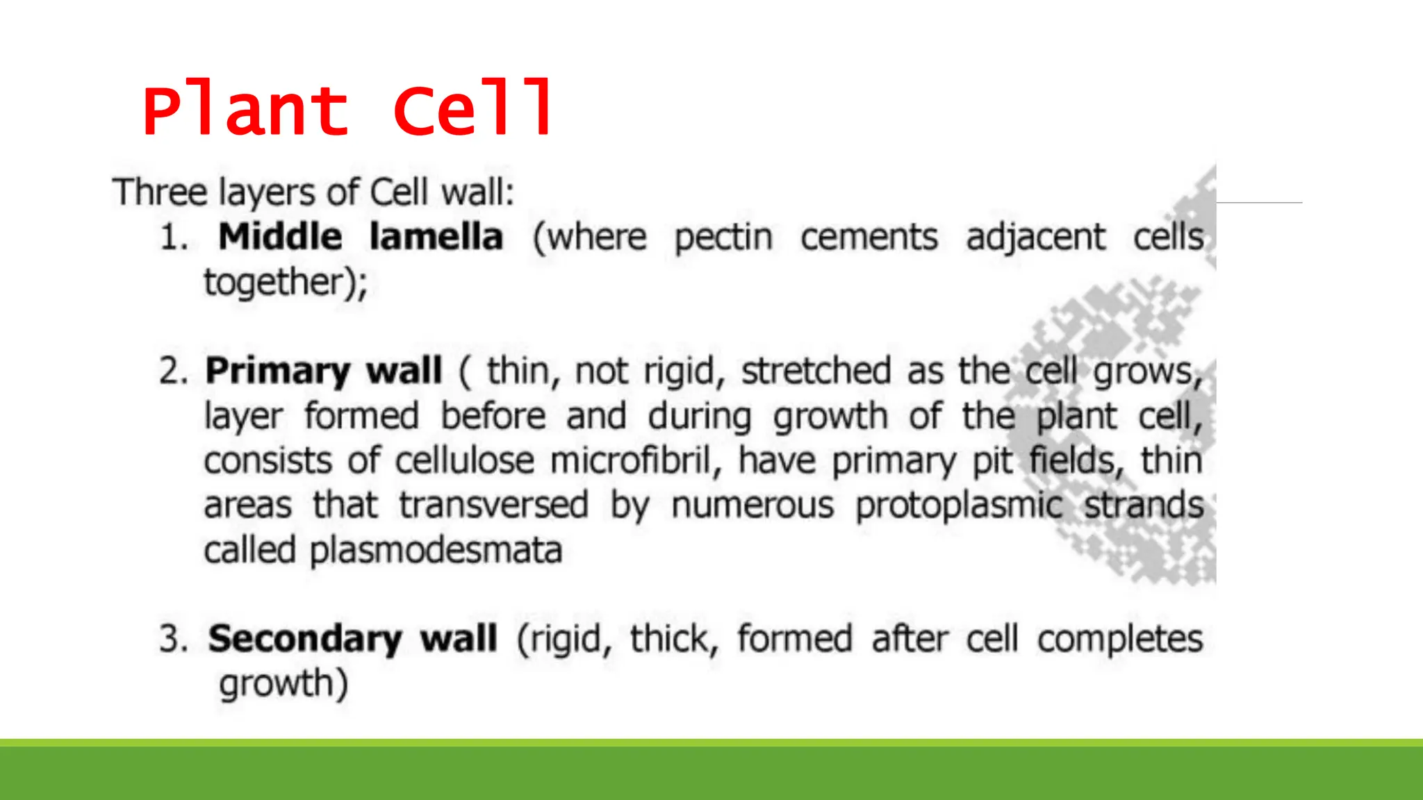 LECTURE 2 CELL AND ANATOMICAL ORGANS OF.pptx