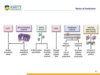 Lecture_2_Cell Injury, its types_pathology.pptx