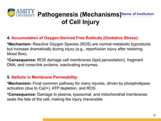 Lecture_2_Cell Injury, its types_pathology.pptx
