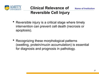 Lecture_2_Cell Injury, its types_pathology.pptx