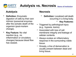 Lecture_2_Cell Injury, its types_pathology.pptx