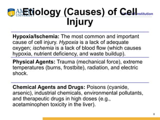 Lecture_2_Cell Injury, its types_pathology.pptx