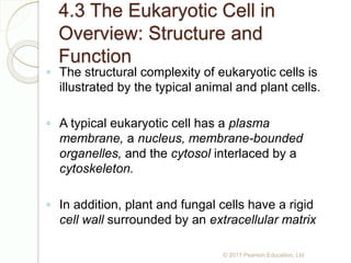 Lecture 2 Cells and organelles.pptx