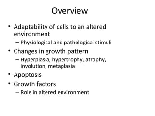Lecture 2 (cellular adaptation) | PPT | Endocrine and Metabolic ...