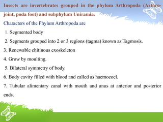 Lecture 2 CLASSIFICATION OF PHYLUM ARTHROPODA UPTO CLASSES & POSITION ...