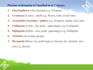 Lecture 2 CLASSIFICATION OF PHYLUM ARTHROPODA UPTO CLASSES & POSITION ...