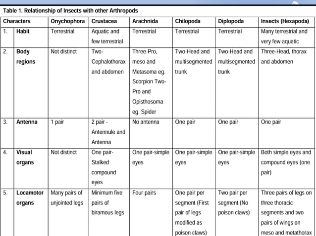 Lecture 2 CLASSIFICATION OF PHYLUM ARTHROPODA UPTO CLASSES & POSITION ...