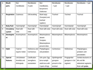 Lecture 2 CLASSIFICATION OF PHYLUM ARTHROPODA UPTO CLASSES & POSITION ...