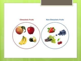 Lecture 2 Cold storage of Fruits and Vegetables.pptx