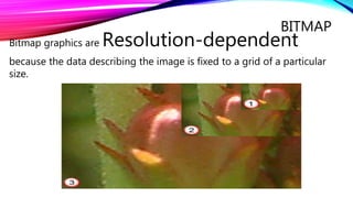 Lecture 2 computer graphics | PPTX