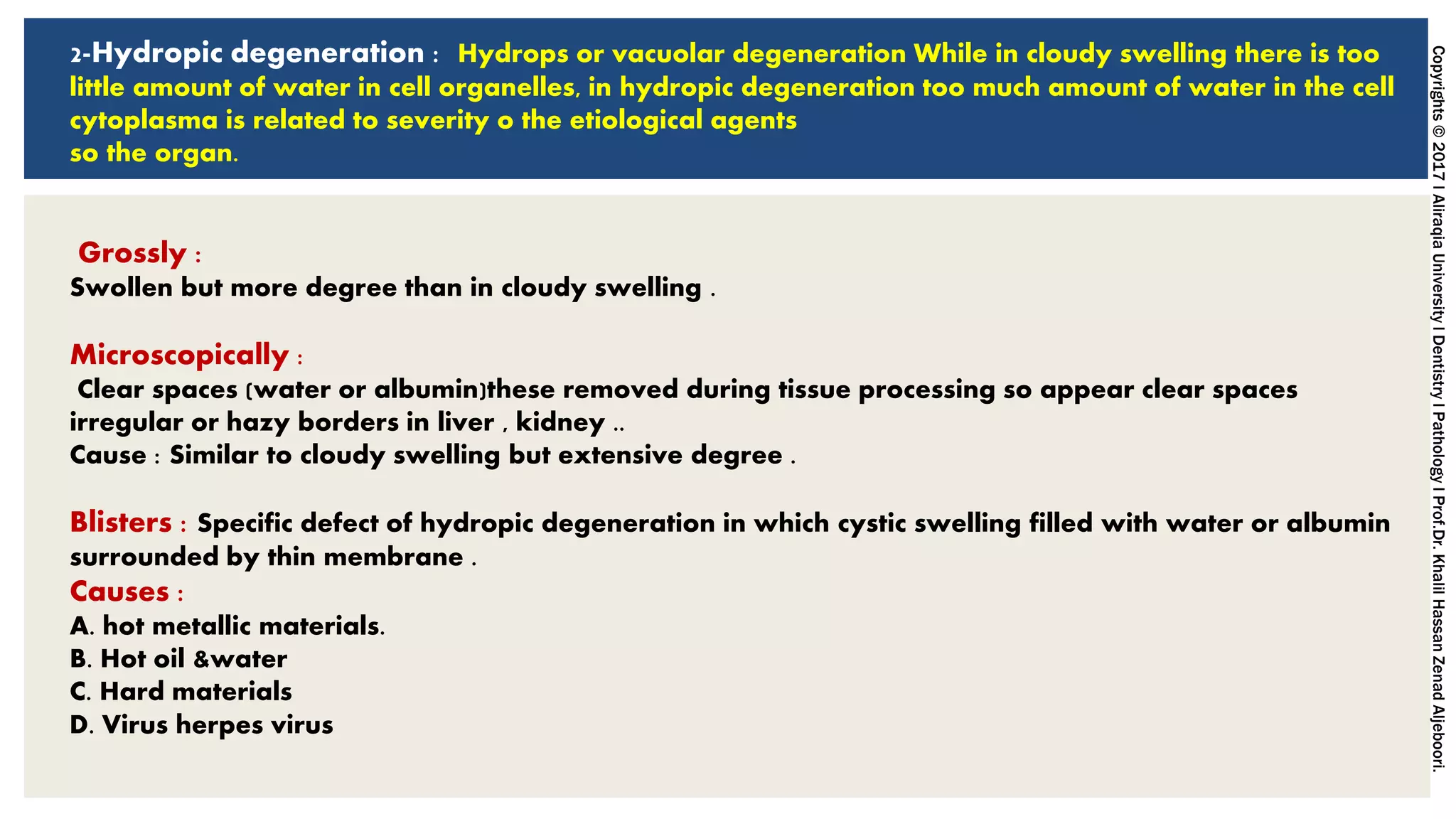 Lecture 2 Degenerative changes and cellular injury | PPTX