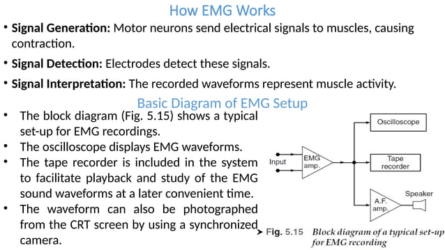 lecture2 EEG EMG VCG PCG_1105315566.pptx