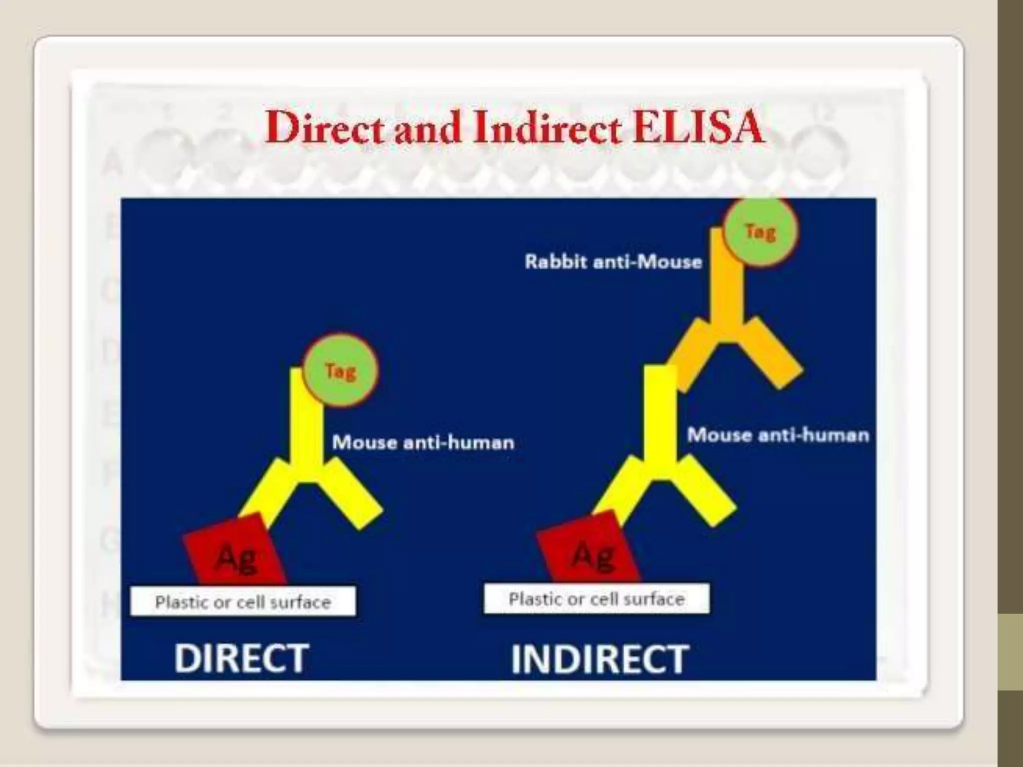 Elisa and Its types | PPTX