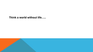 Fundamentals of Earth Science | PPTX