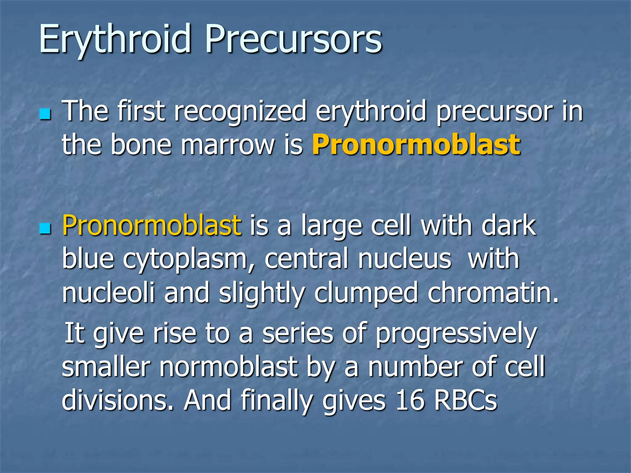 Lecture 2 Erythropoiesis synthesis of RBCs.ppt