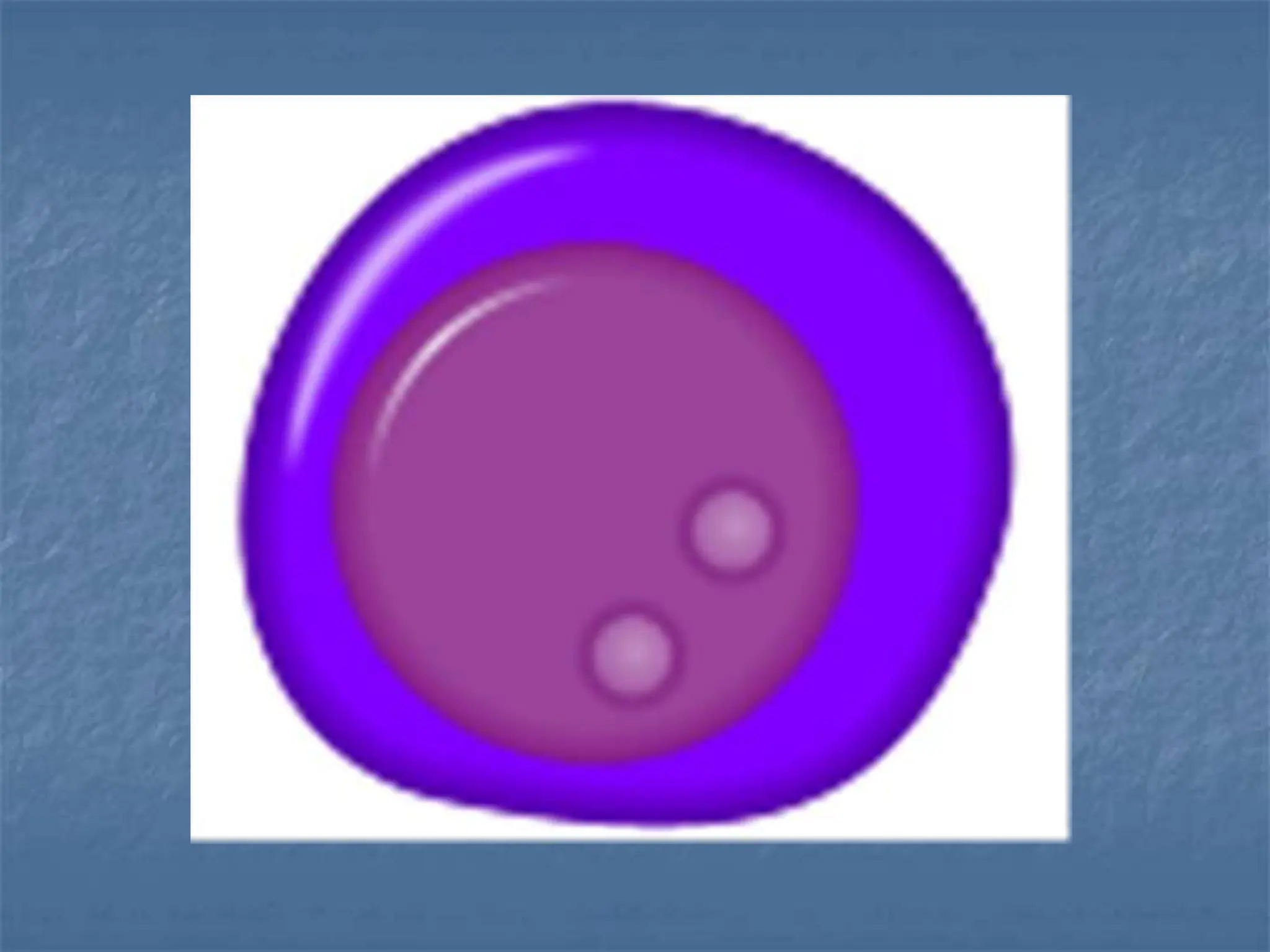 Lecture 2 Erythropoiesis synthesis of RBCs.ppt