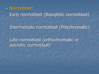 Lecture 2 Erythropoiesis synthesis of RBCs.ppt