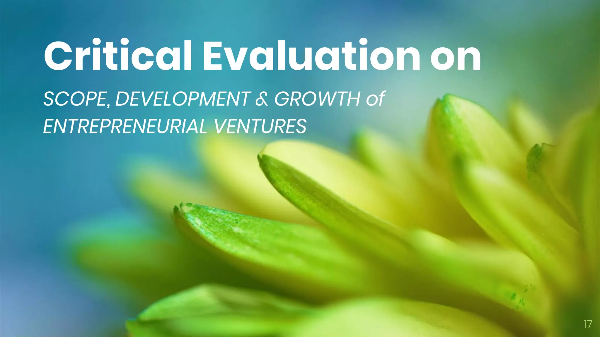 Lecture 2 - Entrepreneurial Ventures | PDF
