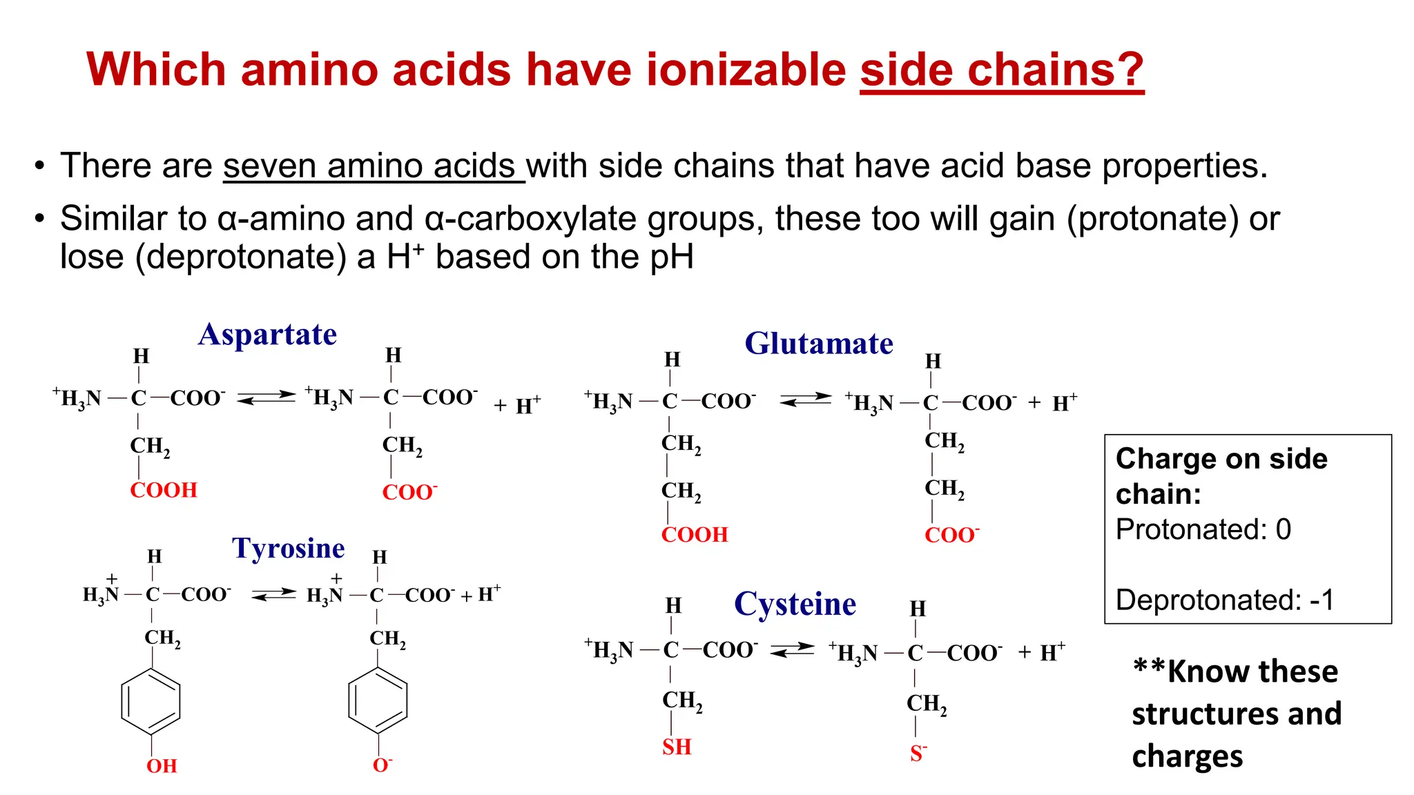 Lecture 2 F23.pdfnjnjnjnjnjnjnnjnjmnjnjn | PDF