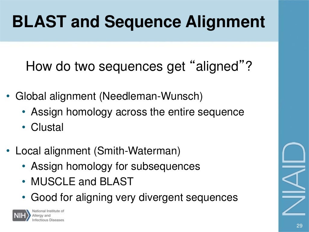 Blast And Sequence Alignment 