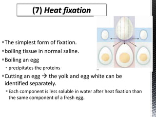 Principles, Methods and Types of Fixatives | PPTX