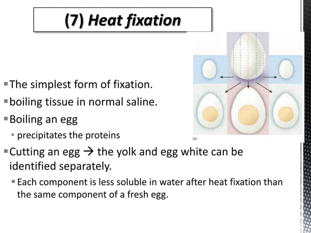Principles, Methods and Types of Fixatives | PPTX | Biological Sciences ...