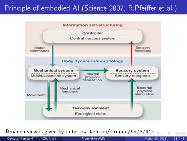 From embodied Artificial Intelligence to Artificial Life | PDF | Artificial Intelligence ...