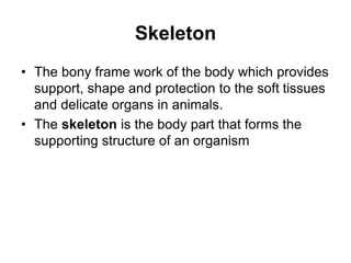 Human Anatomy Lecture 2 General Anatomy.pptx