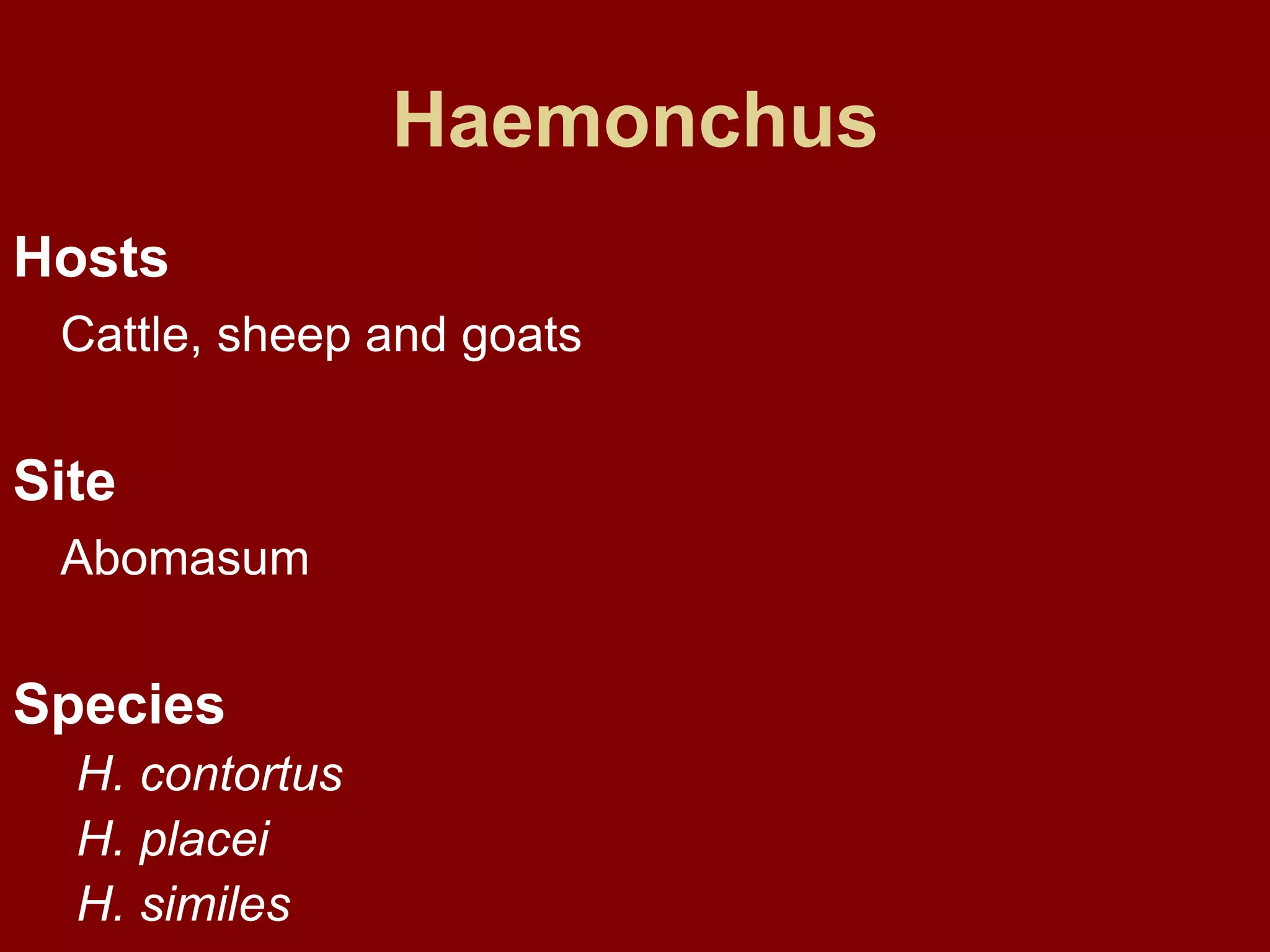 Lecture 2 h. contortus | PPT