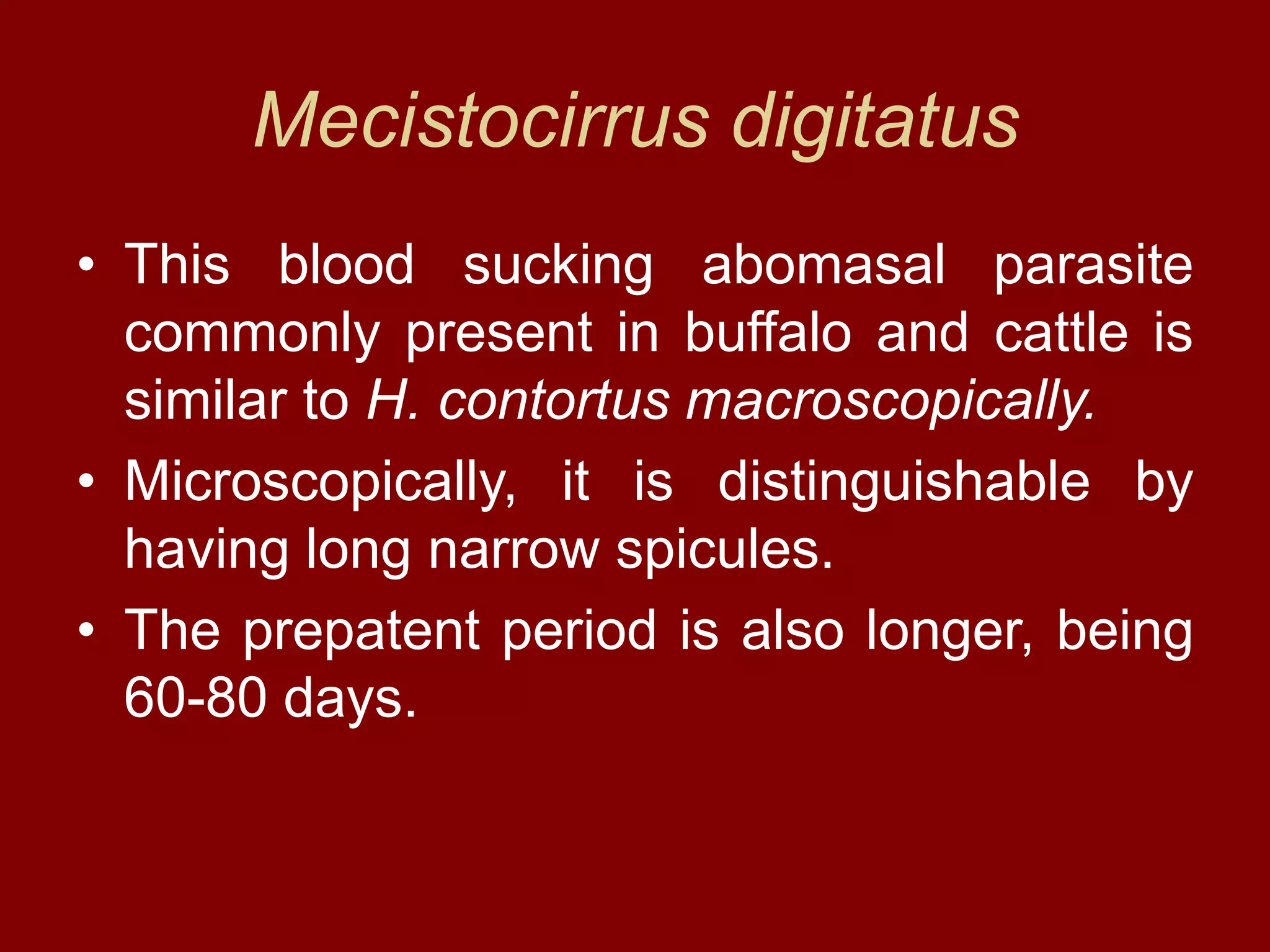 Lecture 2 h. contortus | PPT
