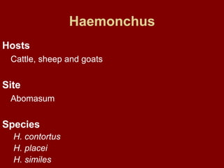 Lecture 2 h. contortus | PPT