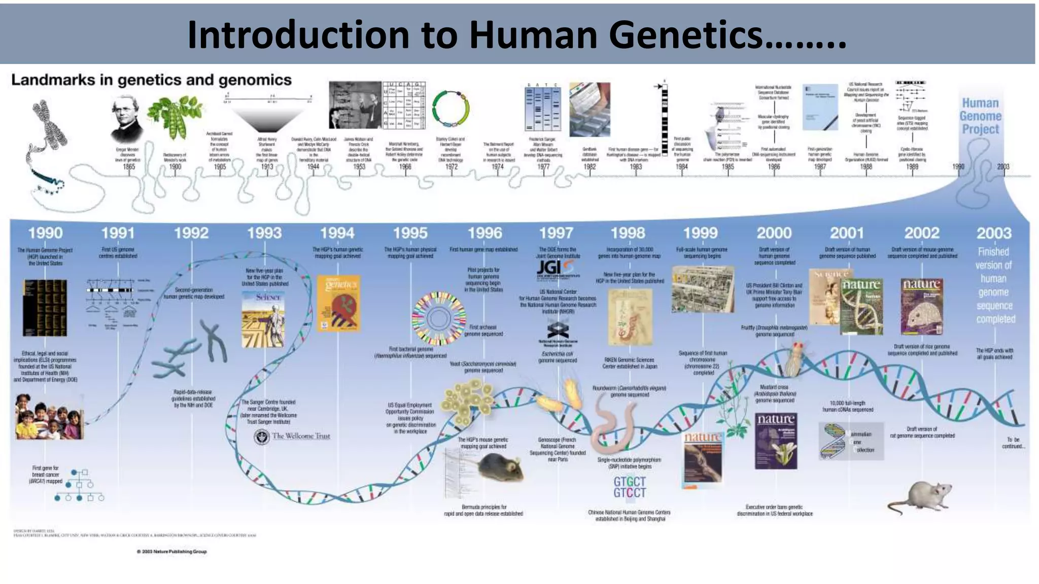 Lecture 2 handout.pptx