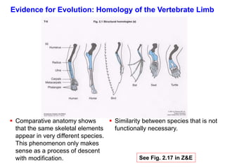 Lecture 2 History and Evidence F2016.ppt