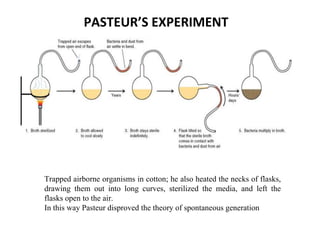 Louis Pasteur Experiment Swan Neck Flask