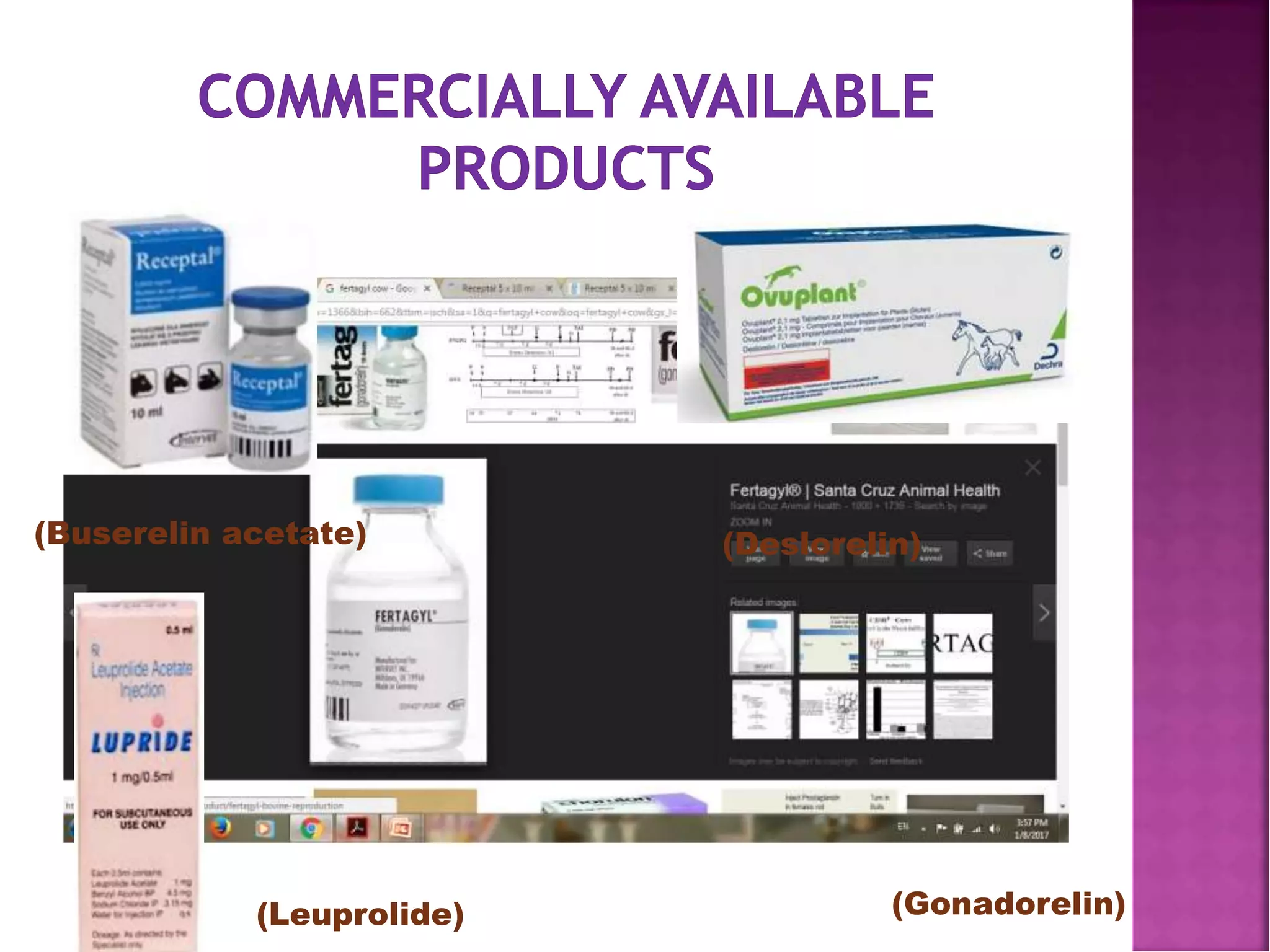 Lecture 2 hormones of reproduction in domestic animals | PDF