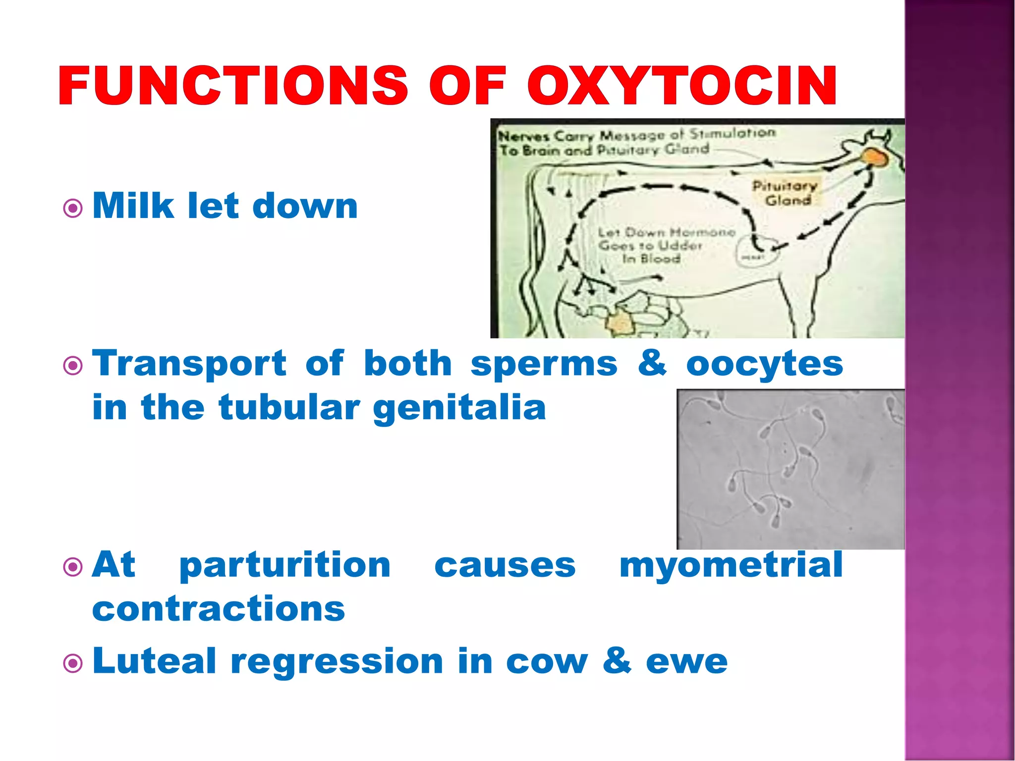 Lecture 2 hormones of reproduction in domestic animals | PDF