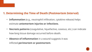 Lecture 2_inflammation_necrosis_amyliodosis.pptx