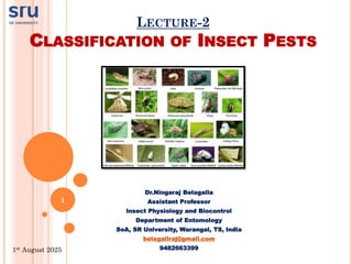 Lecture 2 Insect Pests Classification (2).pdf