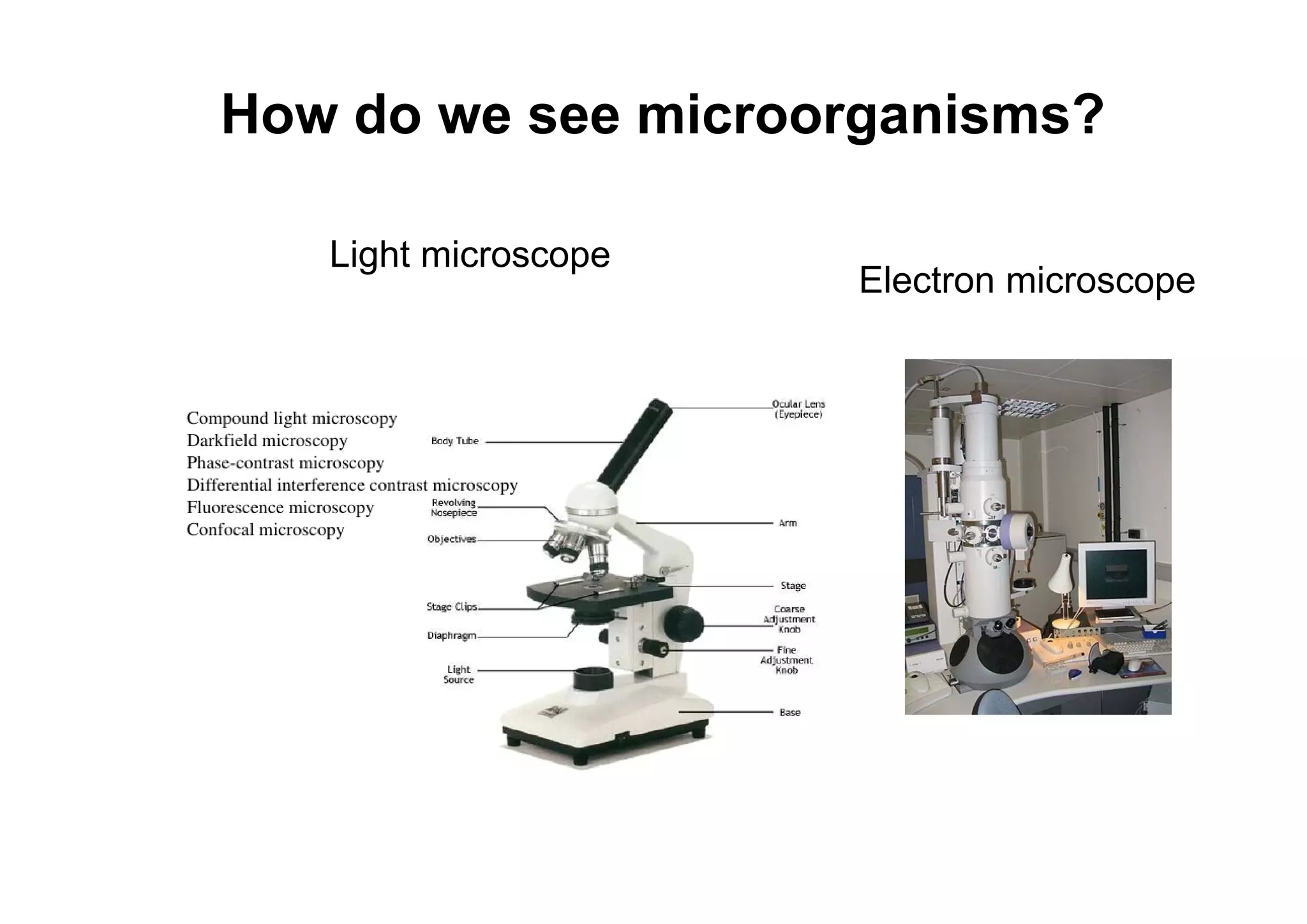 Lecture 2_Intro to Microbiology.pdf