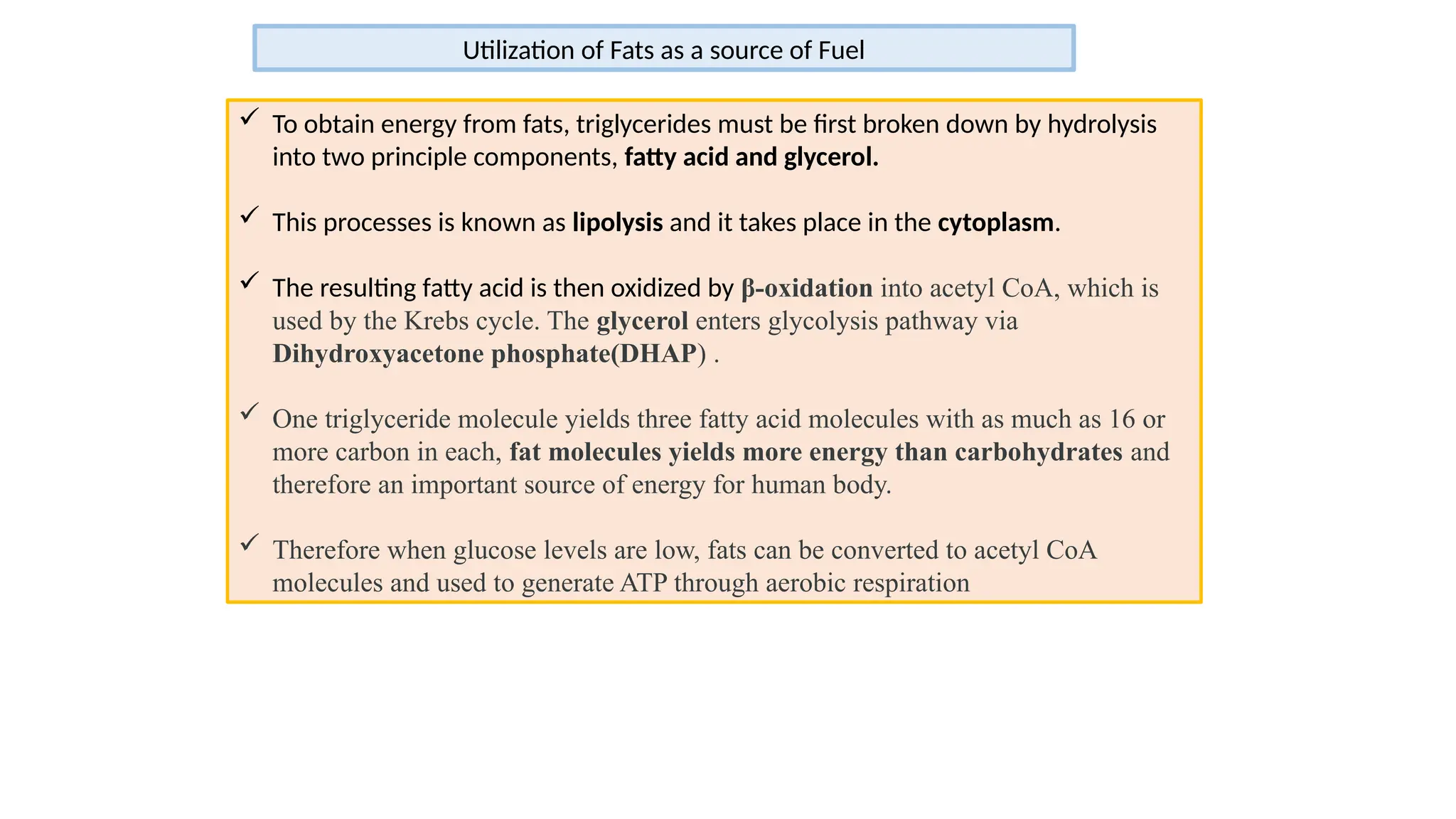 LECTURE 2 on the topic LIPID METABOLISM.pptx