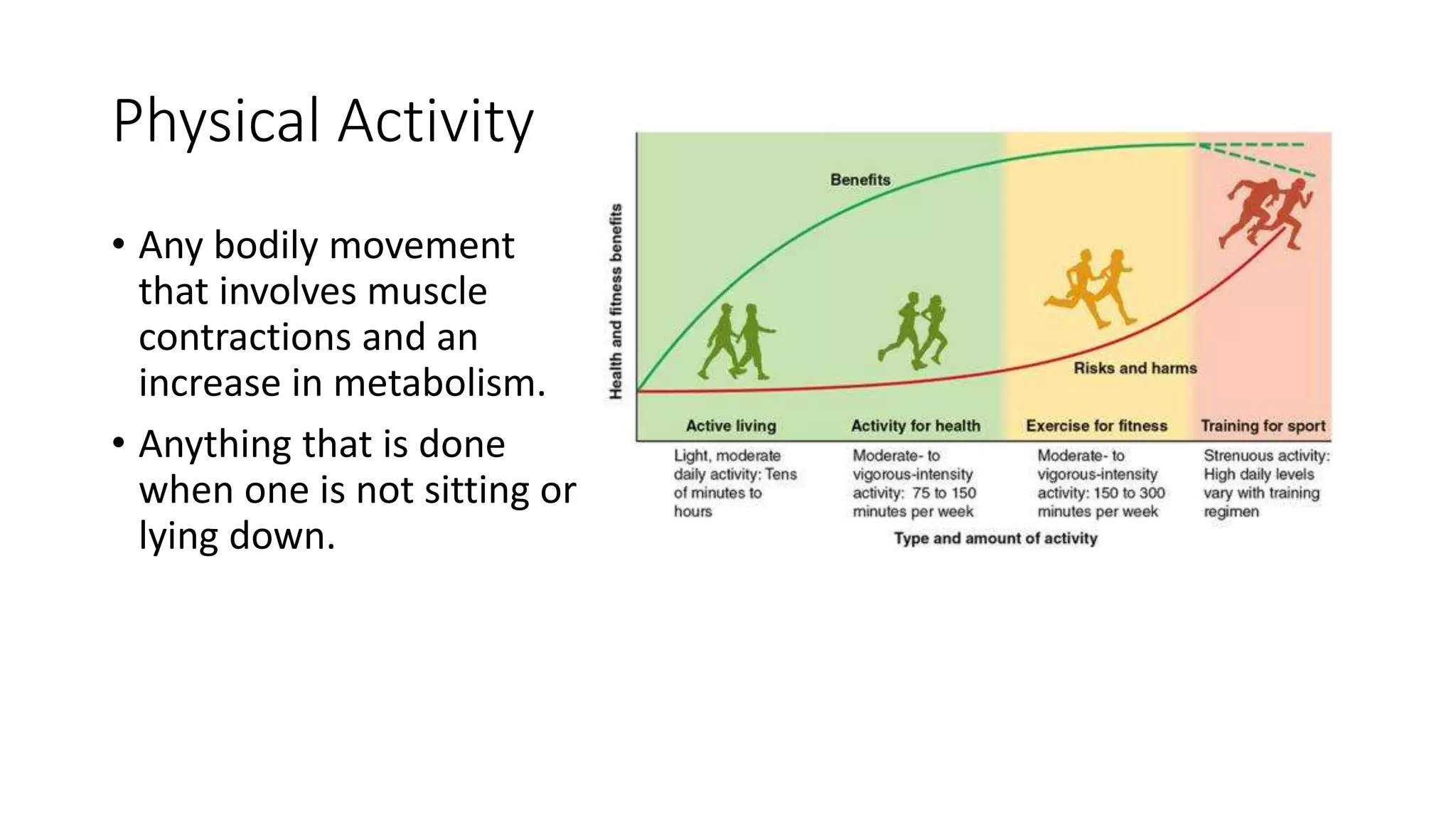 Lecture 2 physical activity,muscle,cardiorespiratory,blood,heart | PPTX