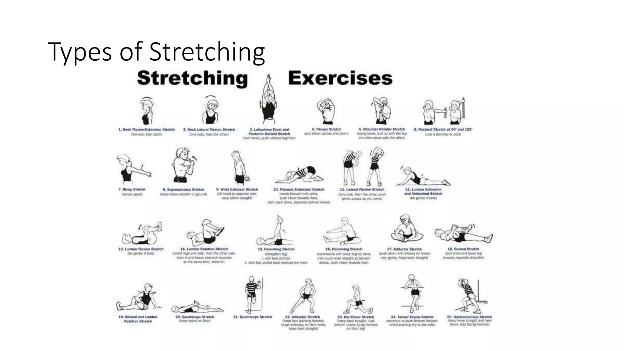 Lecture 2 physical activity,muscle,cardiorespiratory,blood,heart | PPTX