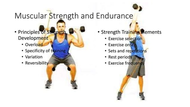 Lecture 2 physical activity,muscle,cardiorespiratory,blood,heart | PPT