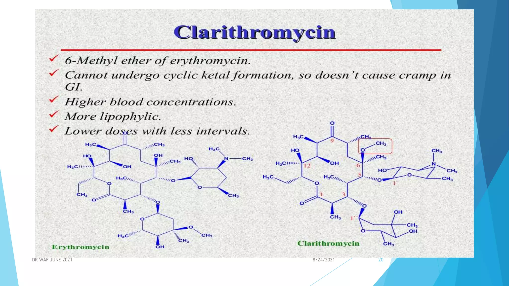 MACROLIDES ANTIBIOTICS. | PPT
