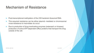 MACROLIDES ANTIBIOTICS. | PPTX