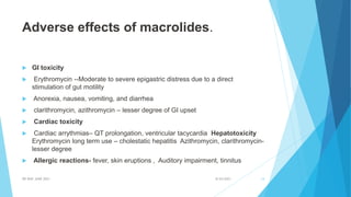 MACROLIDES ANTIBIOTICS. | PPT