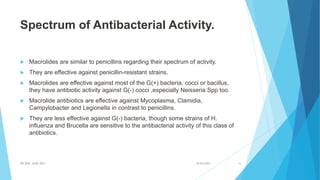 MACROLIDES ANTIBIOTICS. | PPT