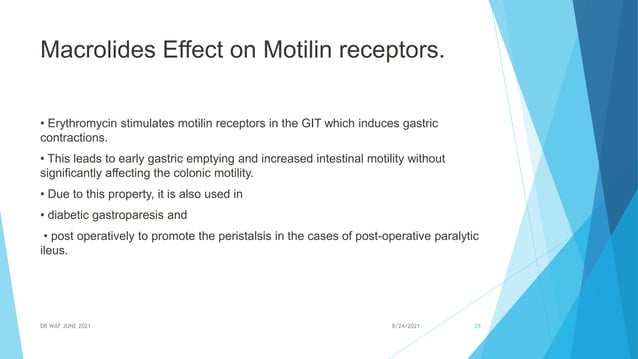 MACROLIDES ANTIBIOTICS. | PPT